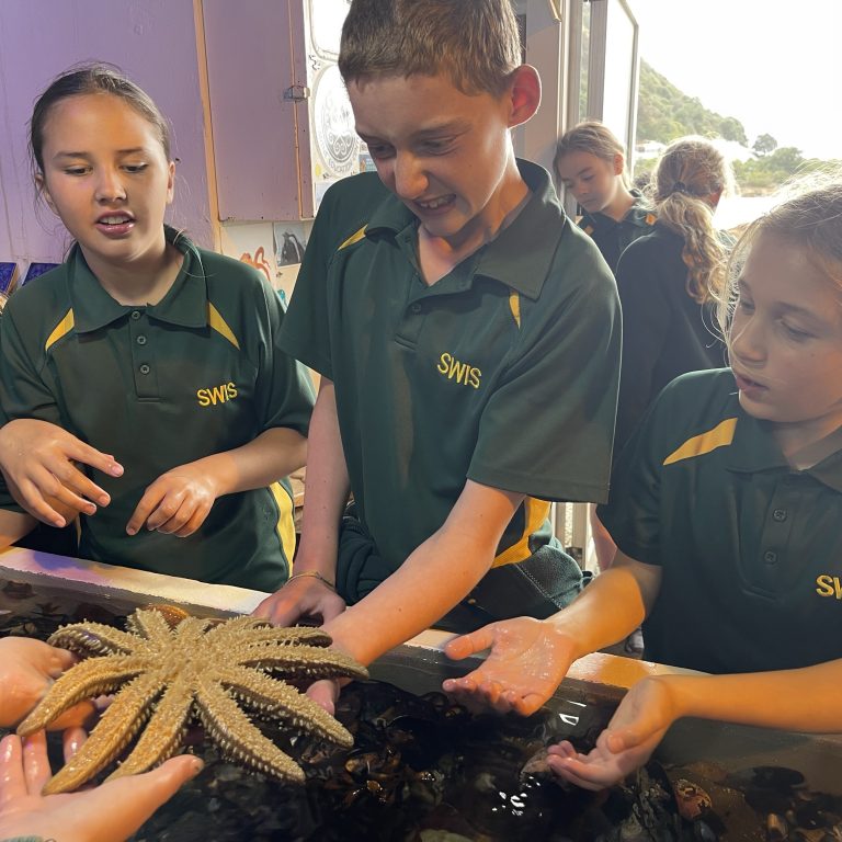About SWIS | South Wellington Intermediate School